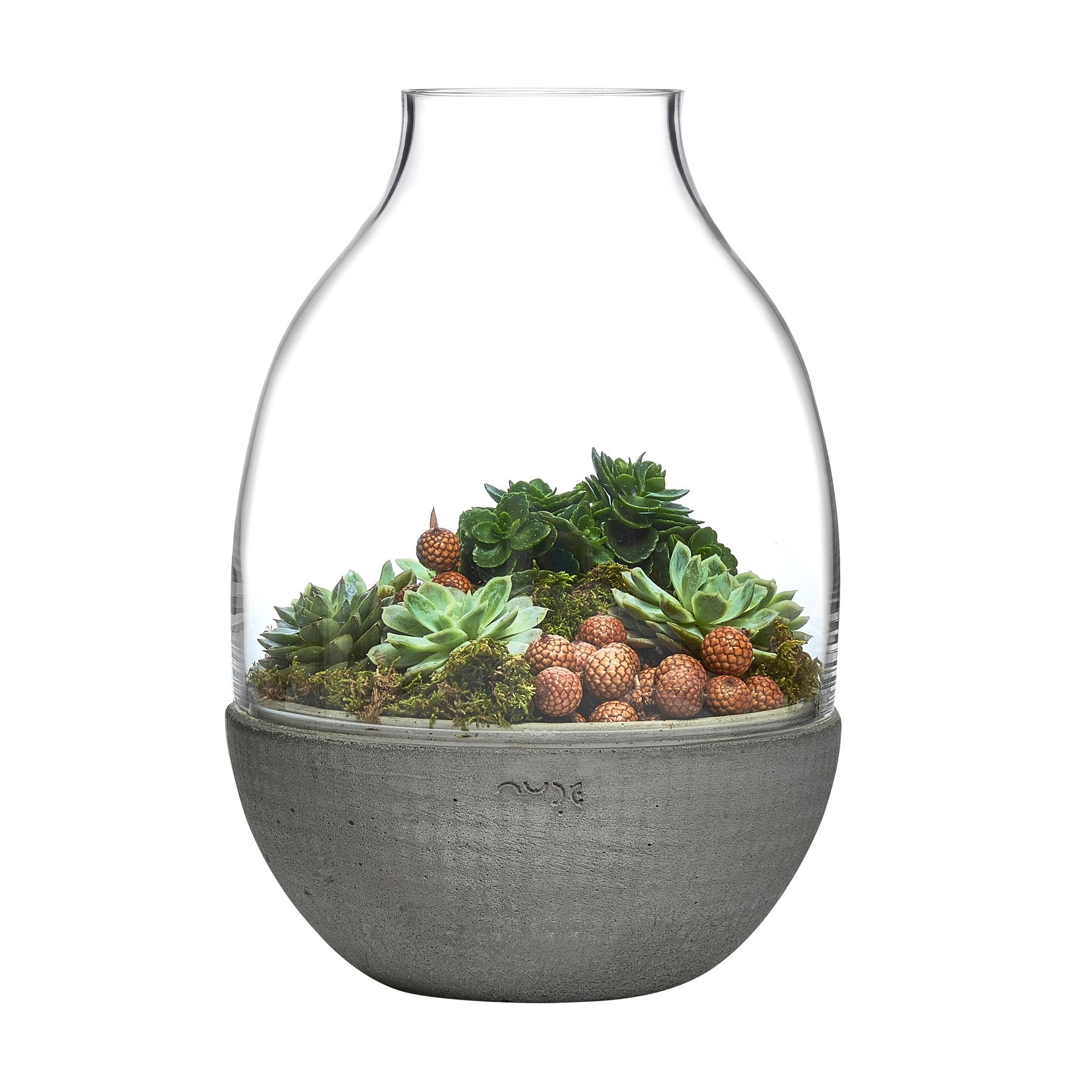 Eden Terrarium Clear with Moulded Concrete Base – NUDE B2B USA